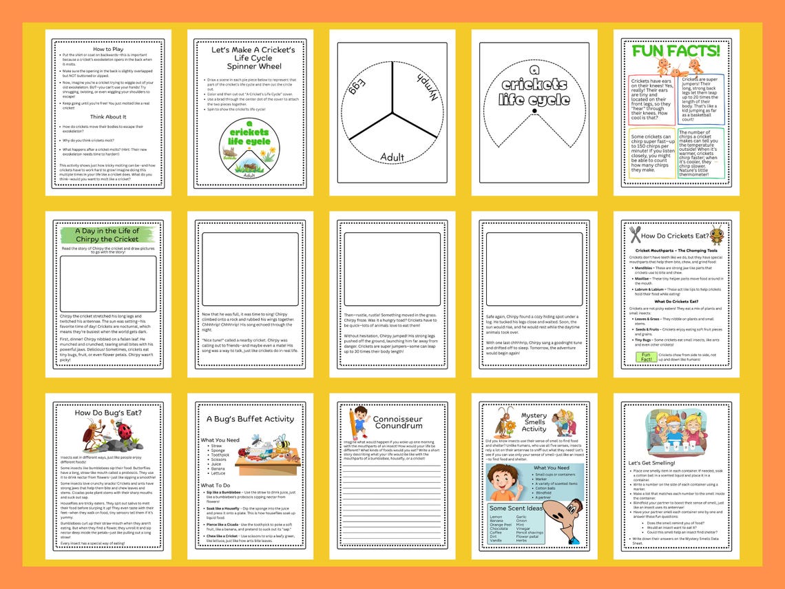 Cricket Unit Study: Homeschool STEM Activities, Nature Study (PDF ...