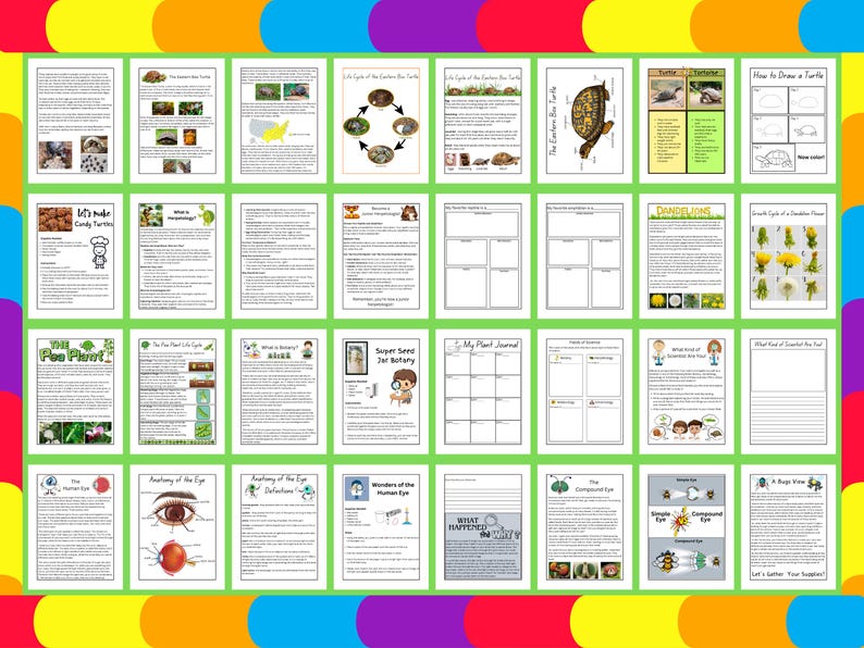 May, Unit Study, Homeschool, Printable, Ladybug, Butterfly, Grasshopper ...