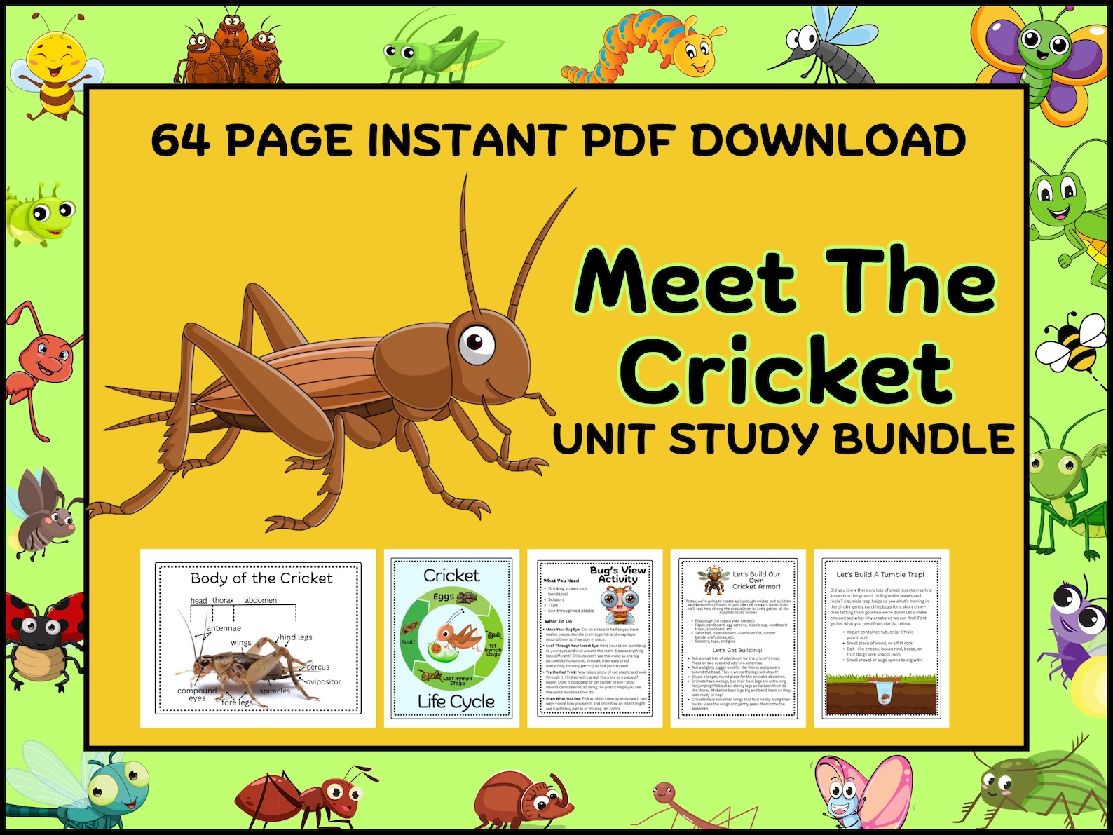 Cricket Unit Study: Homeschool STEM Activities, Nature Study (PDF ...