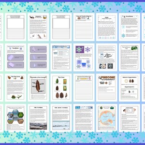 January, Unit Study, Winter, Homeschool, Snow Flake, Iditarod, Winnie ...