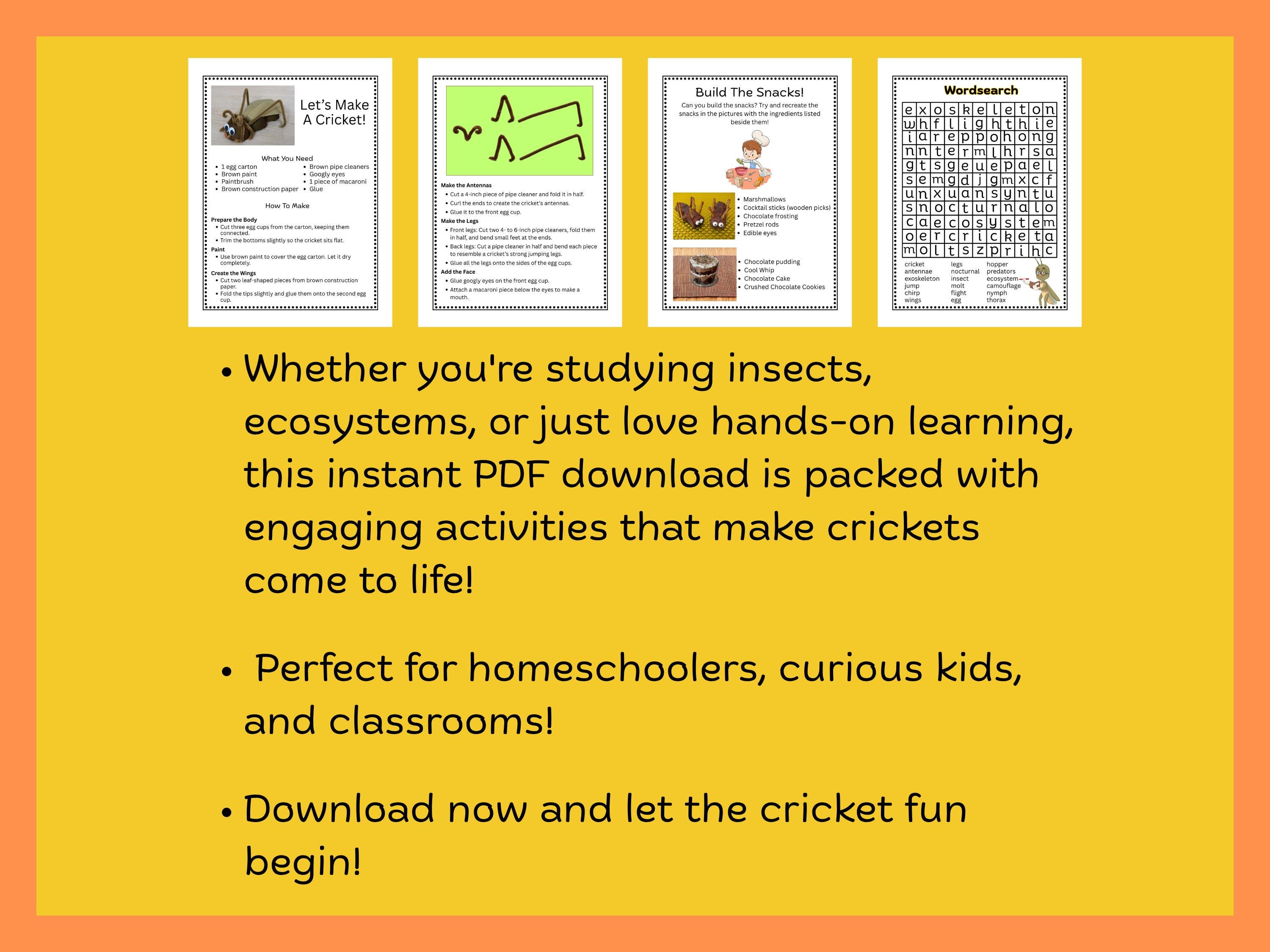Cricket Unit Study: Homeschool STEM Activities, Nature Study (PDF ...