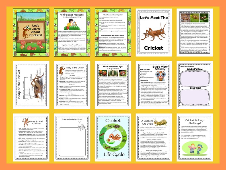 Cricket Unit Study: Homeschool STEM Activities, Nature Study (PDF ...