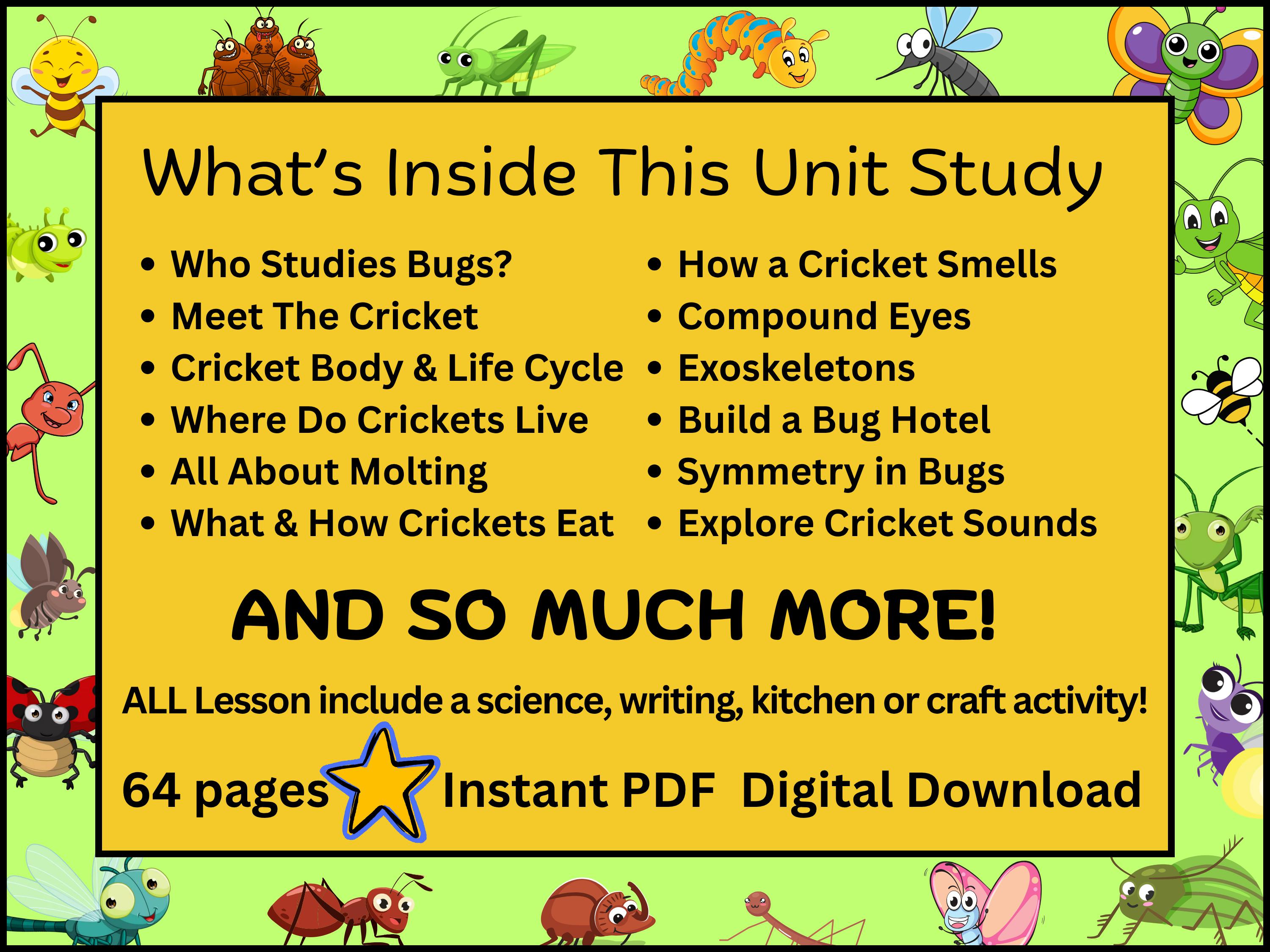 Cricket Unit Study: Homeschool STEM Activities, Nature Study (PDF ...