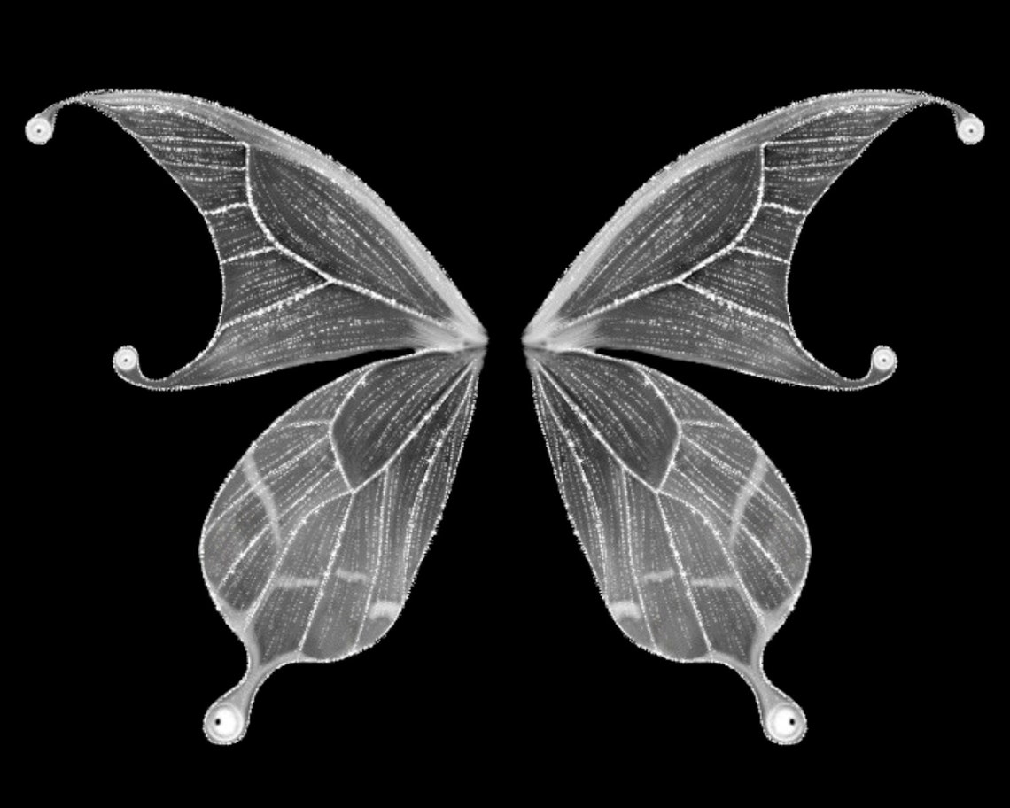 Fairy Wing Overlays PNG Magical Fair Wing Overlays | Etsy