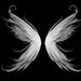 Fairy Wing Overlays PNG, Magical Fair Wing Overlays, Butterfly Wing ...