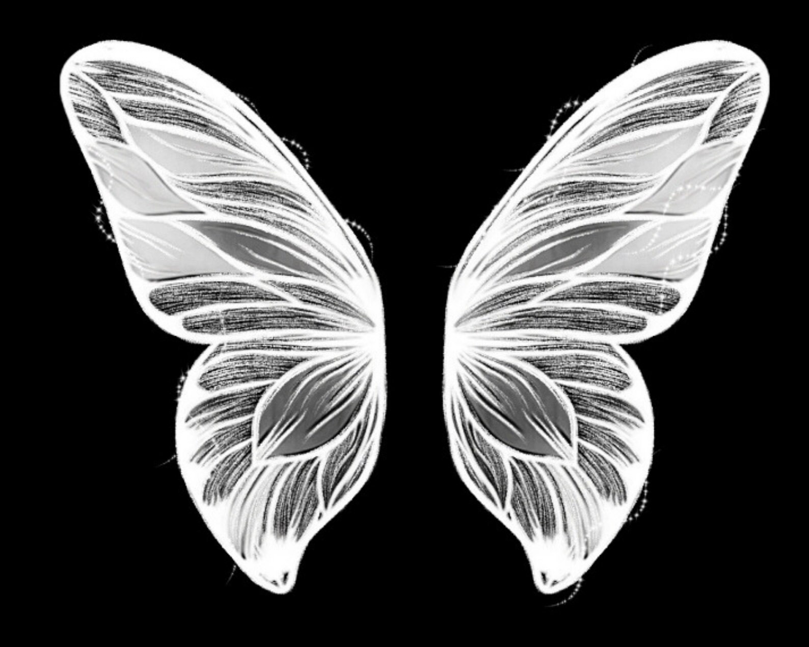 Fairy Wing Overlays PNG, Magical Fair Wing Overlays, Butterfly Wing ...