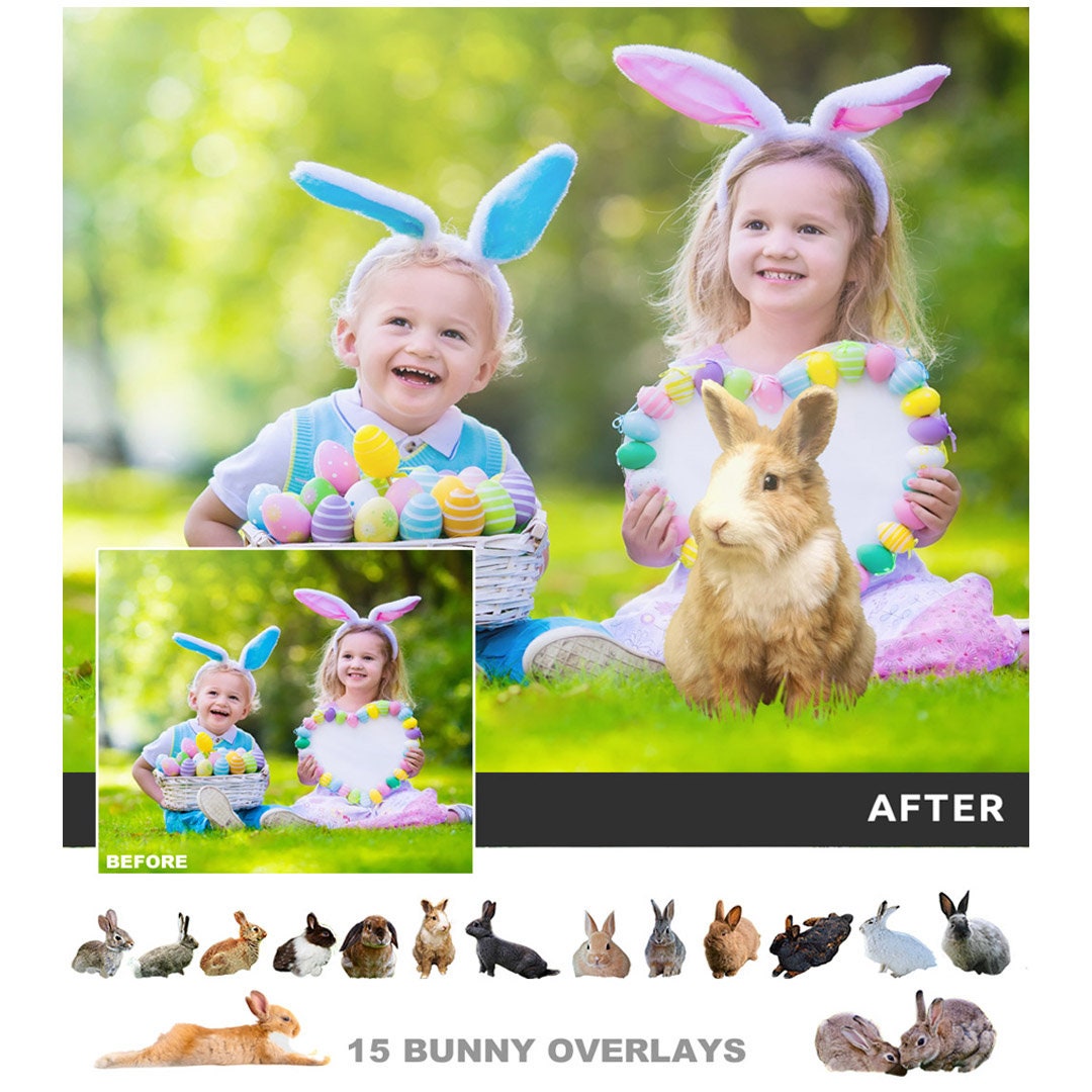 Rabbit Overlays Bunny Rabbit Overlays PNG - Etsy