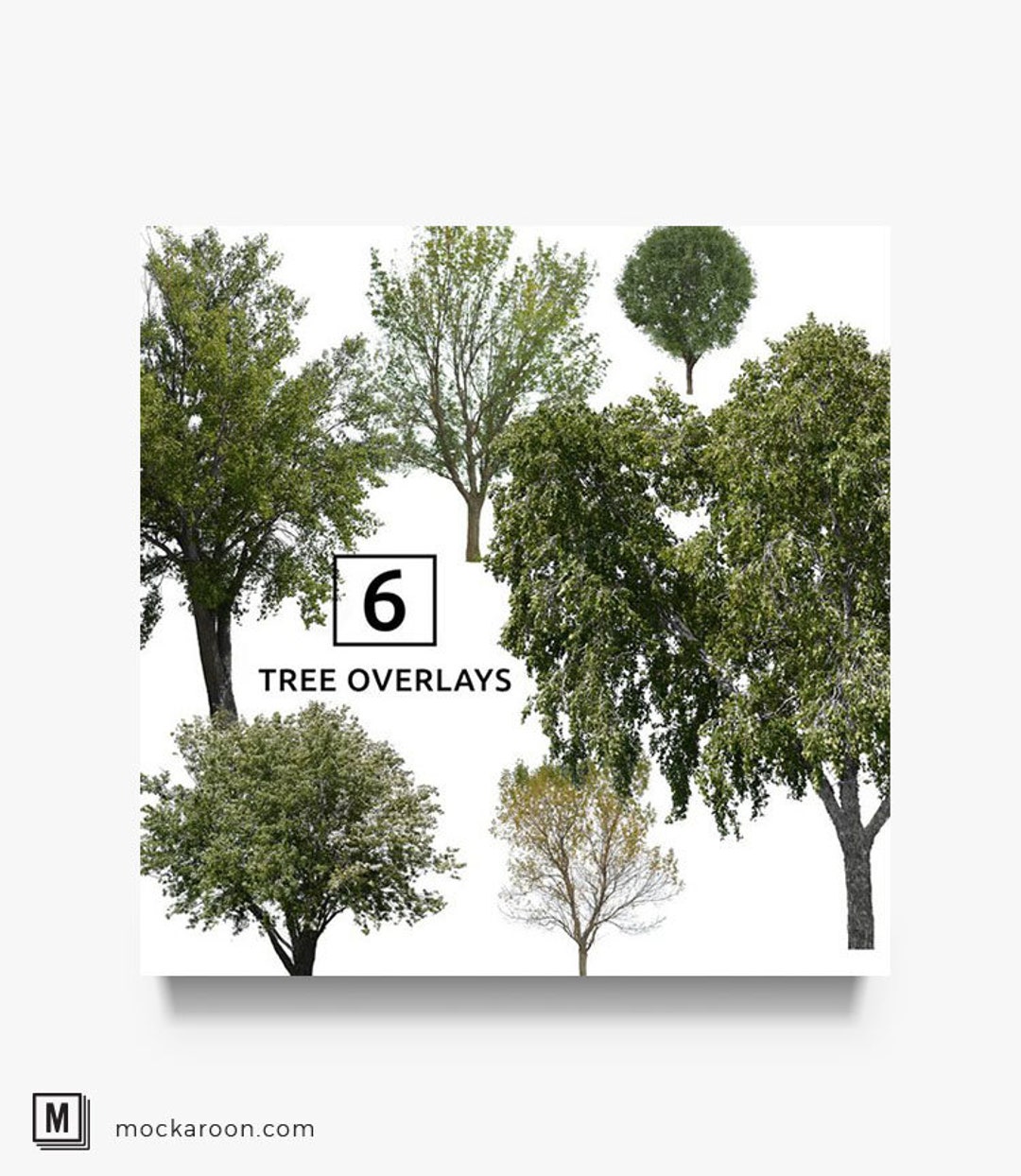 Tree Overlays, PNG Tree Overlay - Etsy