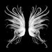 Fairy Wing Overlays PNG, Magical Fair Wing Overlays, Butterfly Wing ...