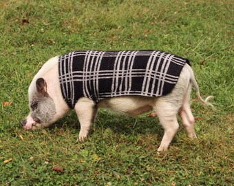 Mini pig clothes | Etsy