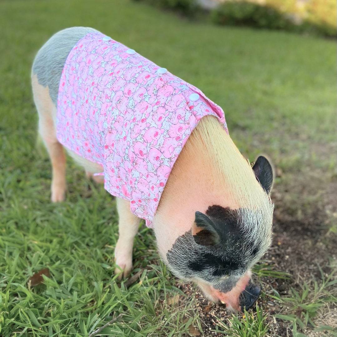 Piggy Print Pig Shirt or Dress for Spring, Summer and Fall Muddy Pigs ...