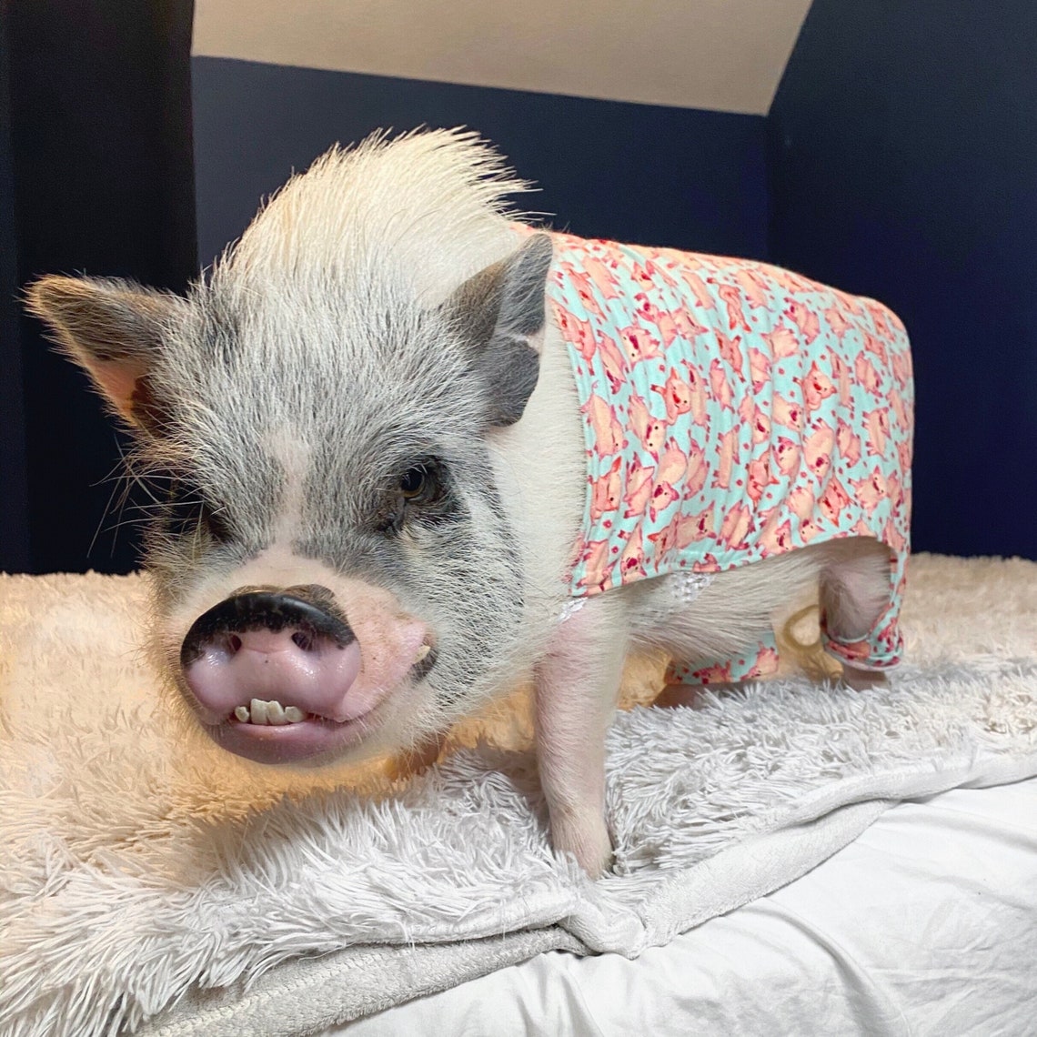 Flannel Pet Pig Pajamas Mini Pig Clothes Clothing for Pot | Etsy