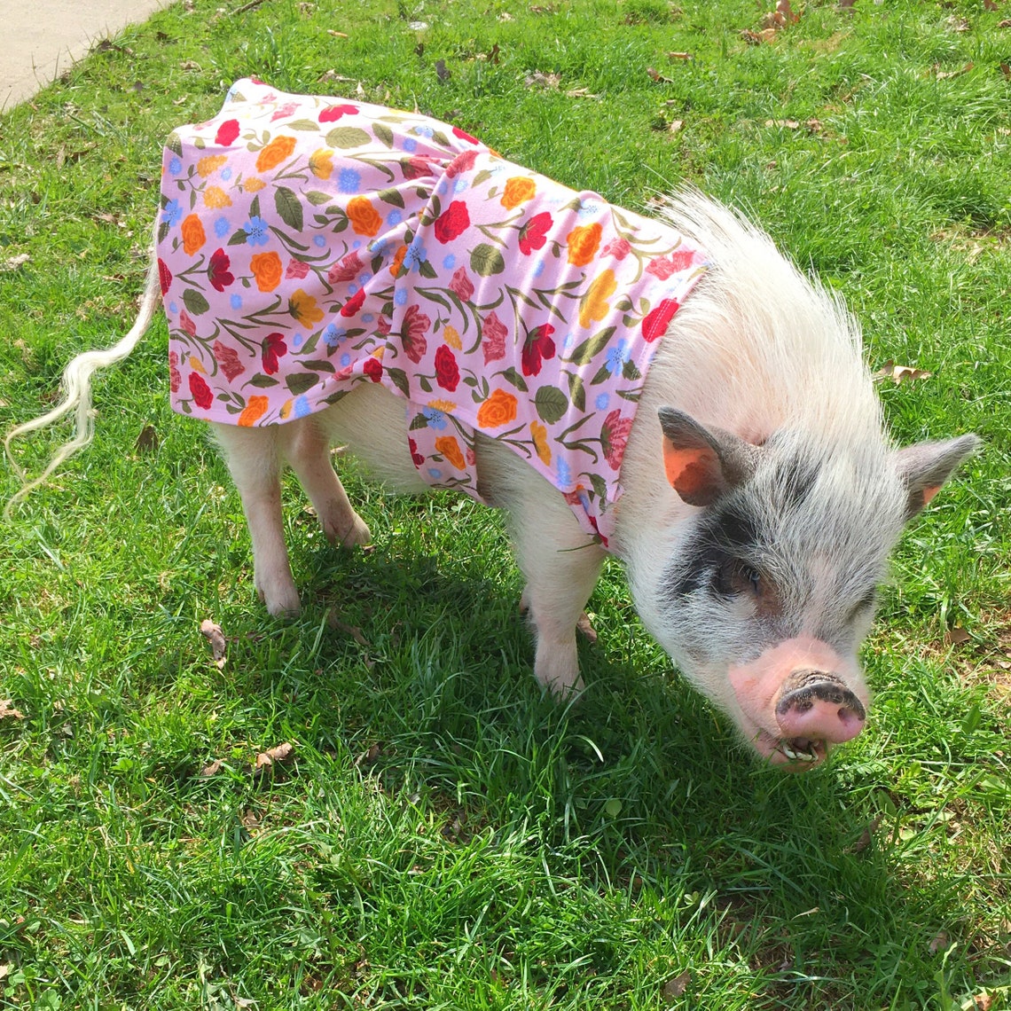 Summer Sun Strap Dress Mini Pig Clothes | Etsy