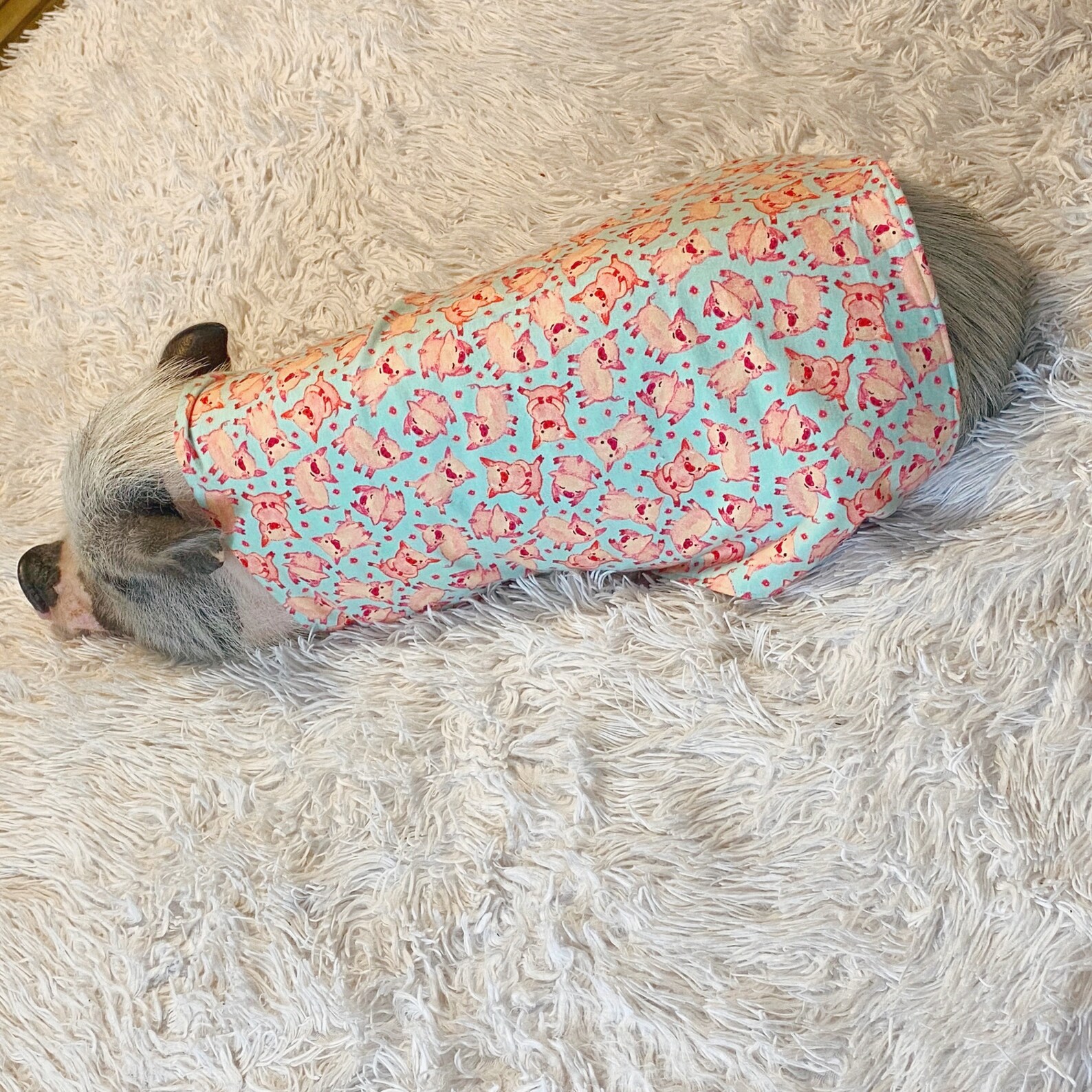 Flannel Pet Pig Pajamas Mini Pig Clothes Clothing for Pot | Etsy