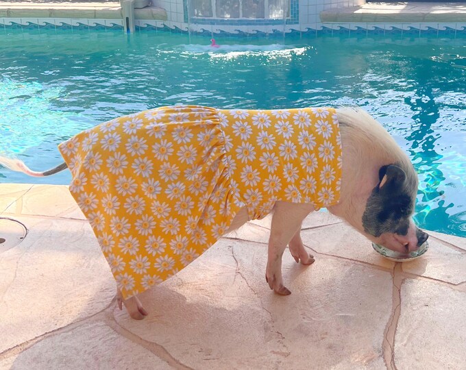 Summer Sun Strap Dress, Mini Pig Clothes to Prevent Sunburn on Skin ...