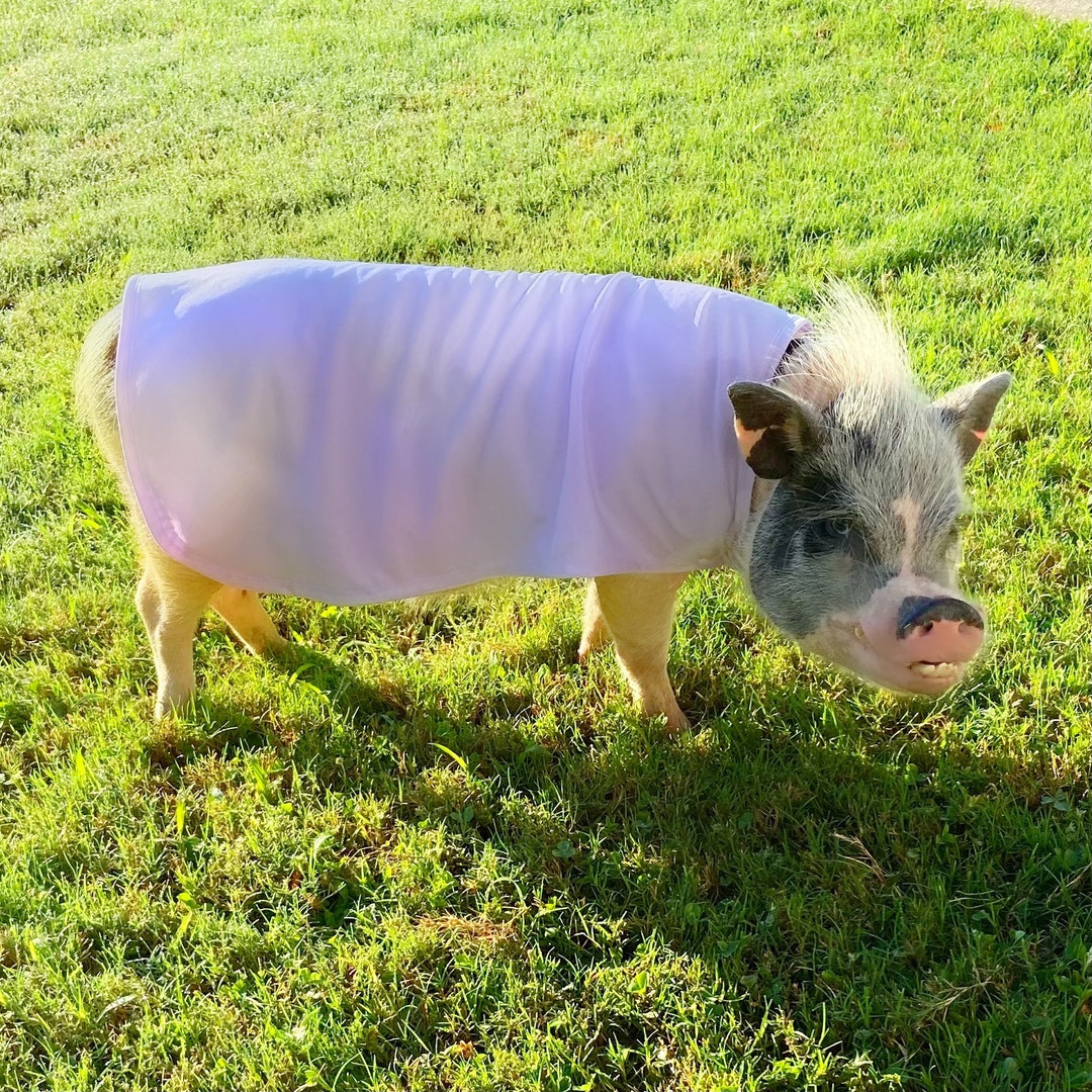 Cooling Shirt for Pets, Easy-on Summer Sun Cloak With Elastic Neck ...