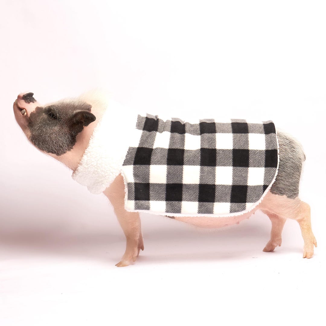 Ultimate Warm Fleece and Sherpa Pig Blanket Sweater: White Buffalo ...