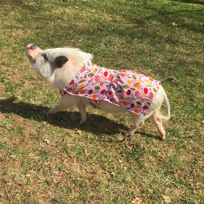 Summer Sun Strap Dress Mini Pig Clothes | Etsy