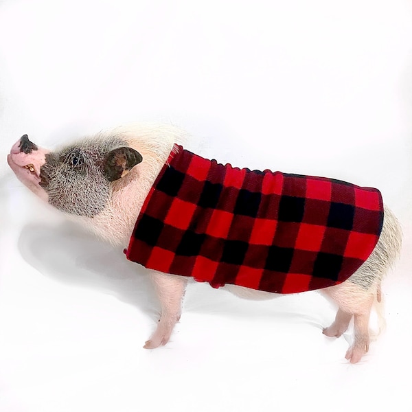 Mini Pig Clothes - Etsy