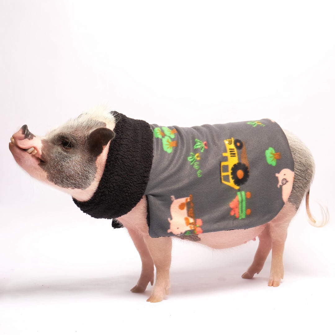 Ultimate Warm Fleece and Sherpa Pig Blanket Sweater: Tractor Farm Pigs ...