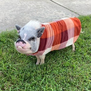 Custom Pig Sweater Embroidered Pet Name Double Layer Mini Pig Coat With ...
