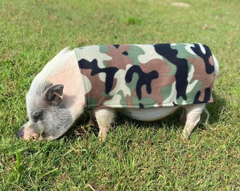 Mini Pig Clothes - Etsy