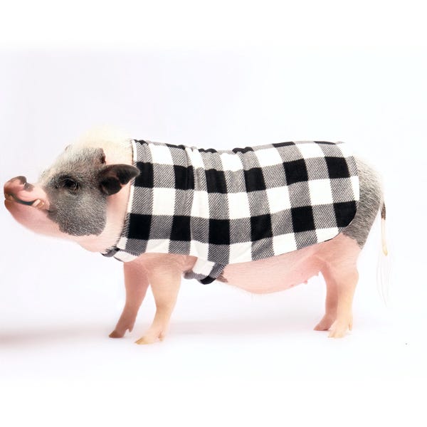 Pig Sweater - Etsy