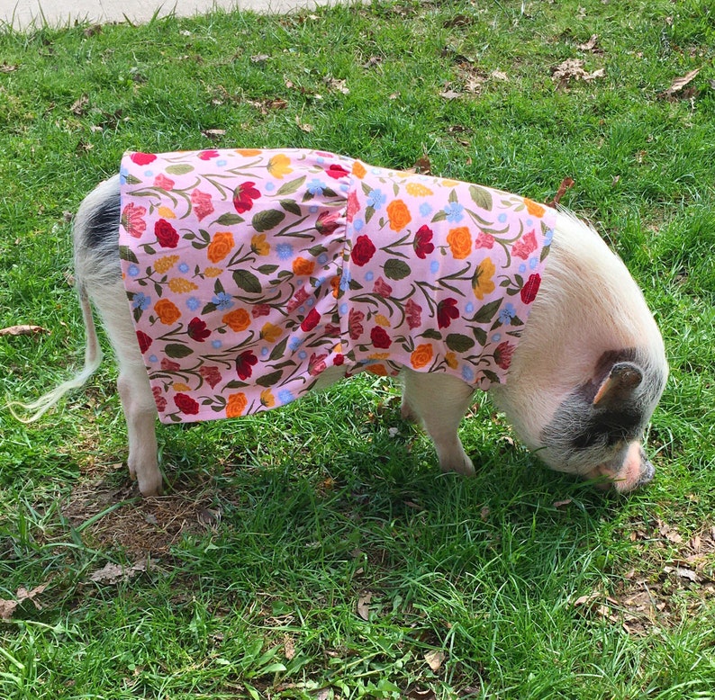 Summer Sun Strap Dress Mini Pig Clothes | Etsy