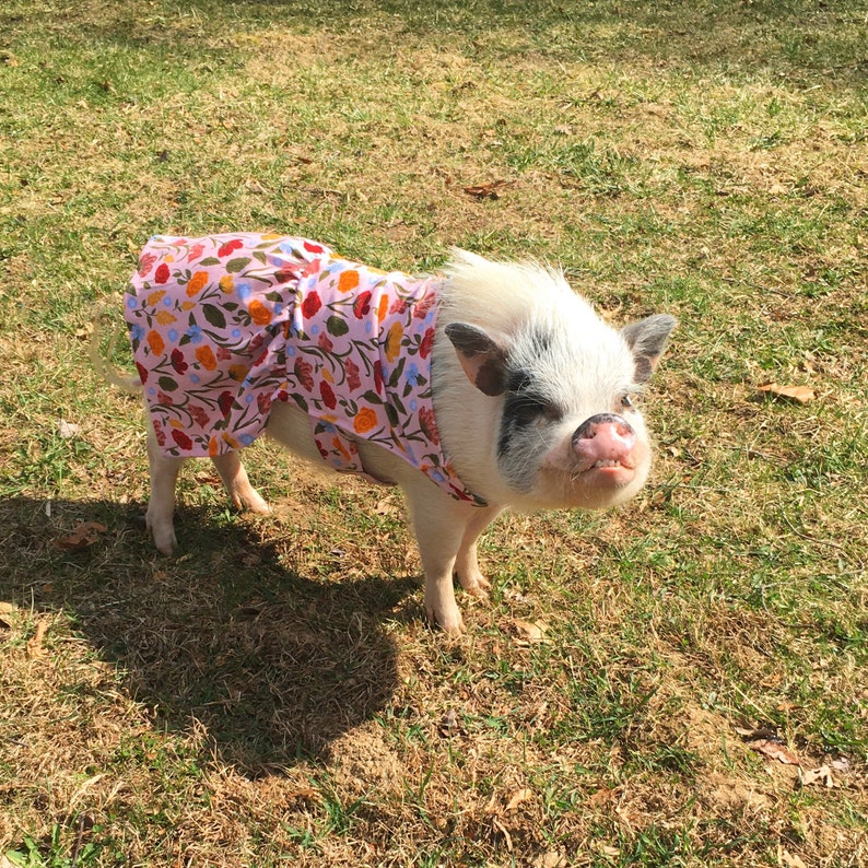 Summer Sun Strap Dress Mini Pig Clothes | Etsy