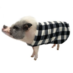 Fleece Strap Sweater Double Layer Pig Coat With Leash Hole Mini Pig ...