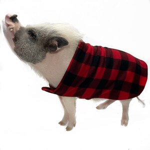 Custom Pig Sweater Embroidered Pet Name Double Layer Mini Pig Coat With ...
