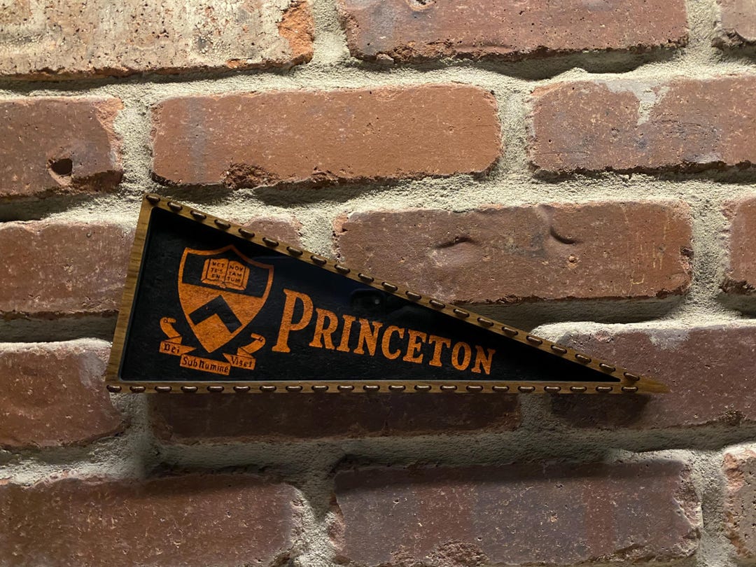 Framed 1950s Princeton University Tigers Vintage NCAA Mini Pennant ...