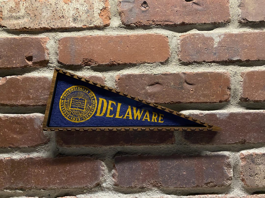 Framed 1950s University of Delaware Fightin' Blue Hens Vintage Mini ...