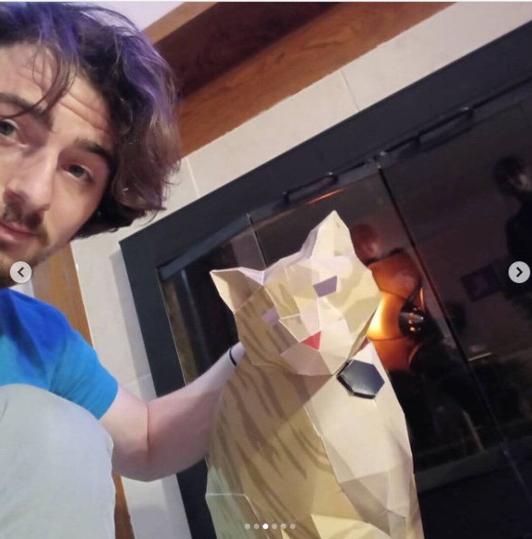 Orange Tabby Cat Paper Craft File, Cut Out and Fold Kitty - Etsy