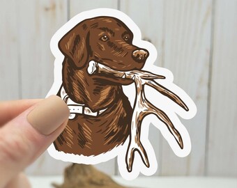 Shes a Beaut Clark Cousin Eddie Shed Antler Hunting Sticker - Etsy