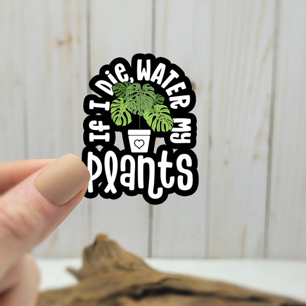 Plant Stickers - Etsy