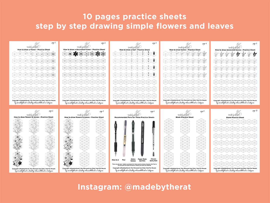 Step by Step Drawing A Simple Flower and Leaf, Botanical Drawing ...