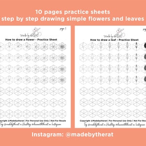 Step by Step Drawing A Simple Flower and Leaf, Botanical Drawing ...