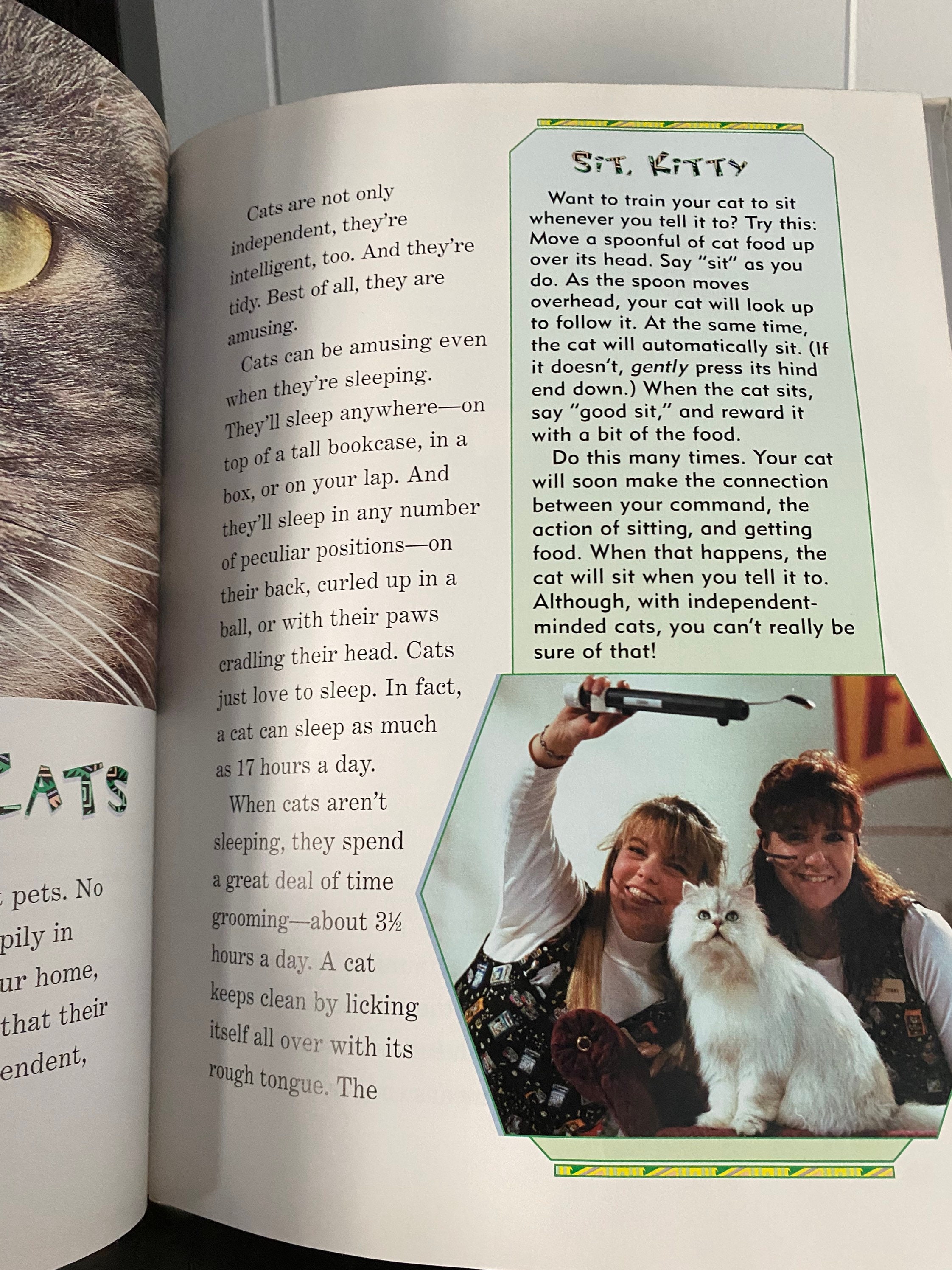 Disney's Year Book 2001 Walt Disney Yearbook Disney's Wonderful World ...