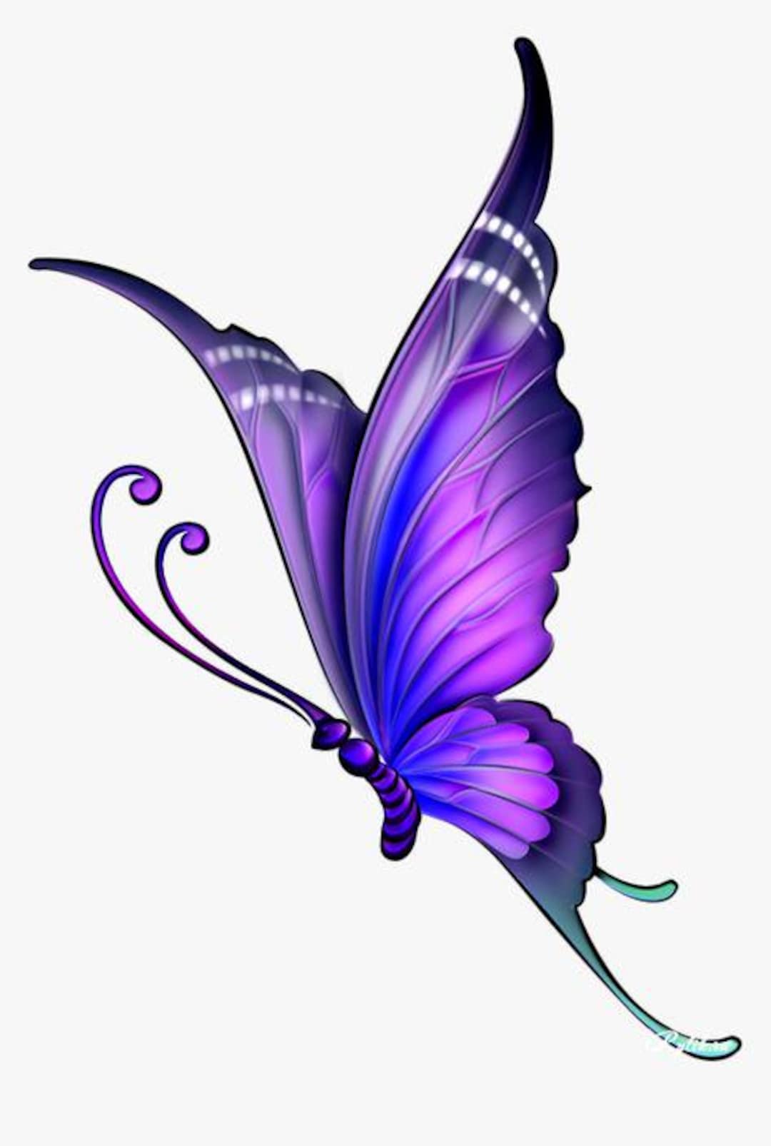 Butterfly Bundle - Etsy