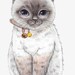 Cat Bundle - Etsy