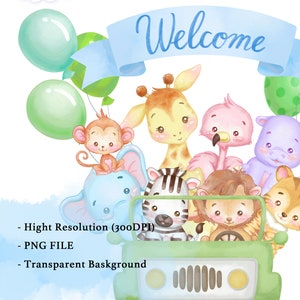 Safari Party Baby Animals Clipart | Jungle, Watercolor, Tiger, Lion ...