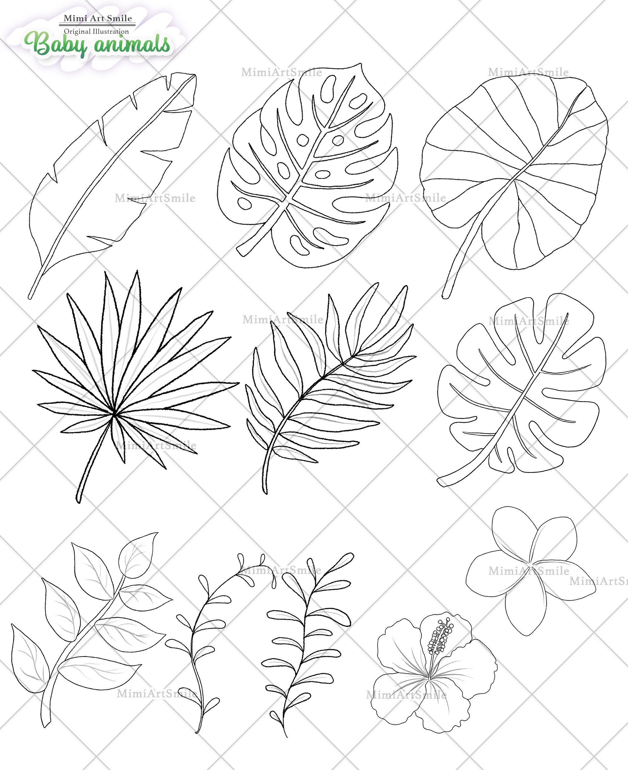 Jungle Safari Baby Animals Digital Stamp, Animal Clipart, Coloring ...