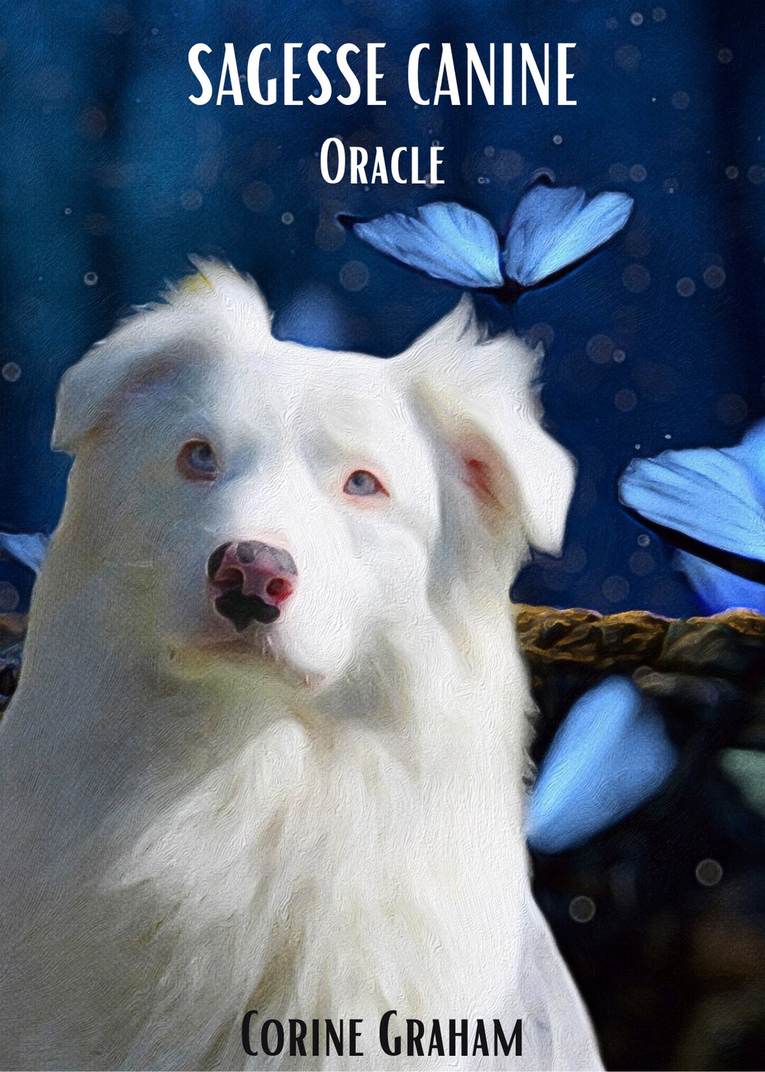 Canine Wisdom Oracle Spiritual Guides for Dogs and Animals - Etsy