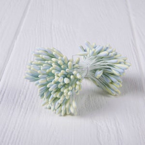 Japanese Double Rapeseed Blossom Stamens - M-size, 2 Bundles (288 ...