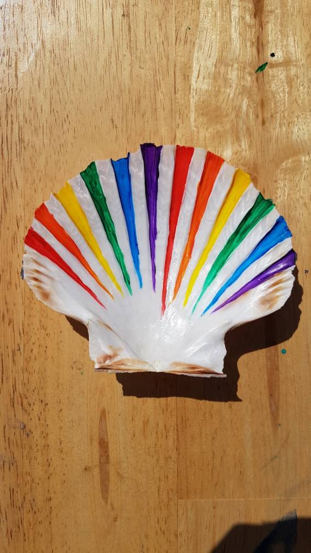 PRIDE Scallop Shell LGBTQ Genuine Pearly Scallop Shell Painted - Etsy
