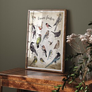 Affiche poster nature forêt oiseaux forestiers aquarelle - Etsy France