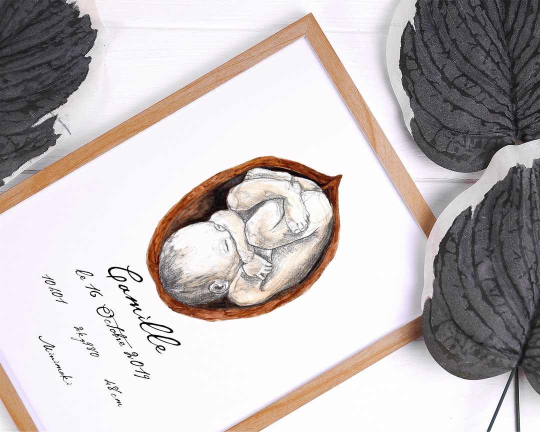 Personalized Birth Poster Baby Nuts Watercolordesign Scandinavian Hygge ...