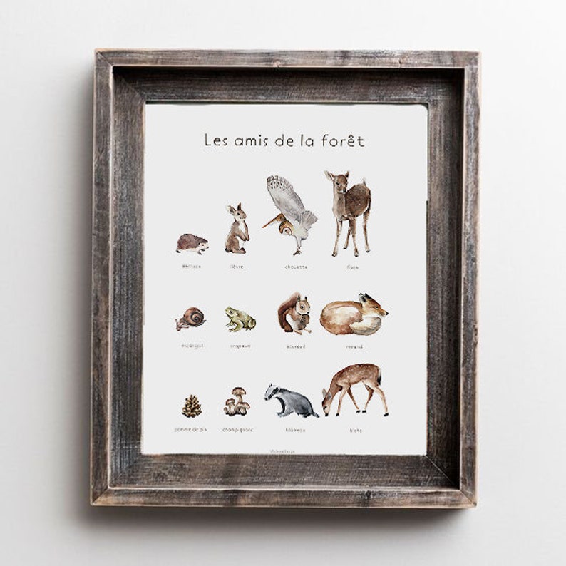 AFFICHE poster forêt animaux WOODLAND decoration enfant - Etsy France