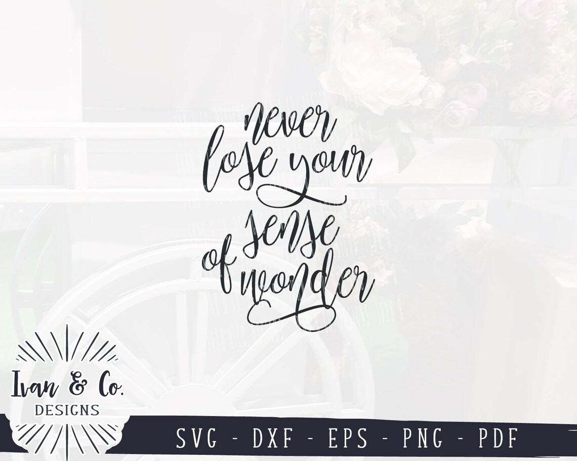 SVG Files, Never Lose Your Sense of Wonder Svg, Inspirational Svg ...
